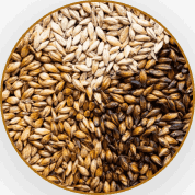 Soufflet Malt
